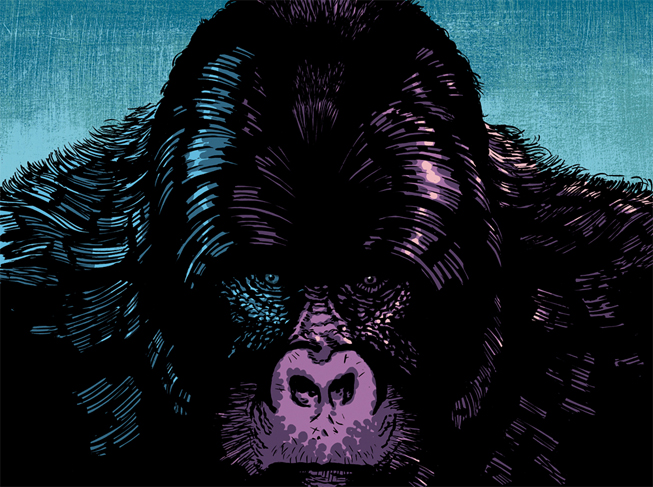 benjamin-gudel_b5 – Illozoo