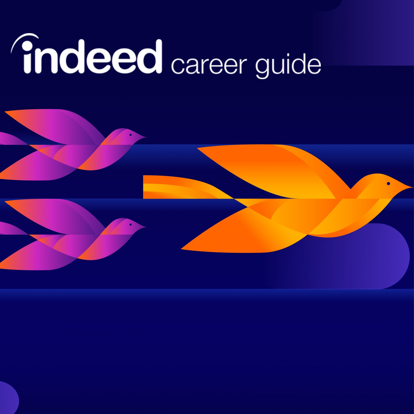 Career Guide Banners – Illozoo