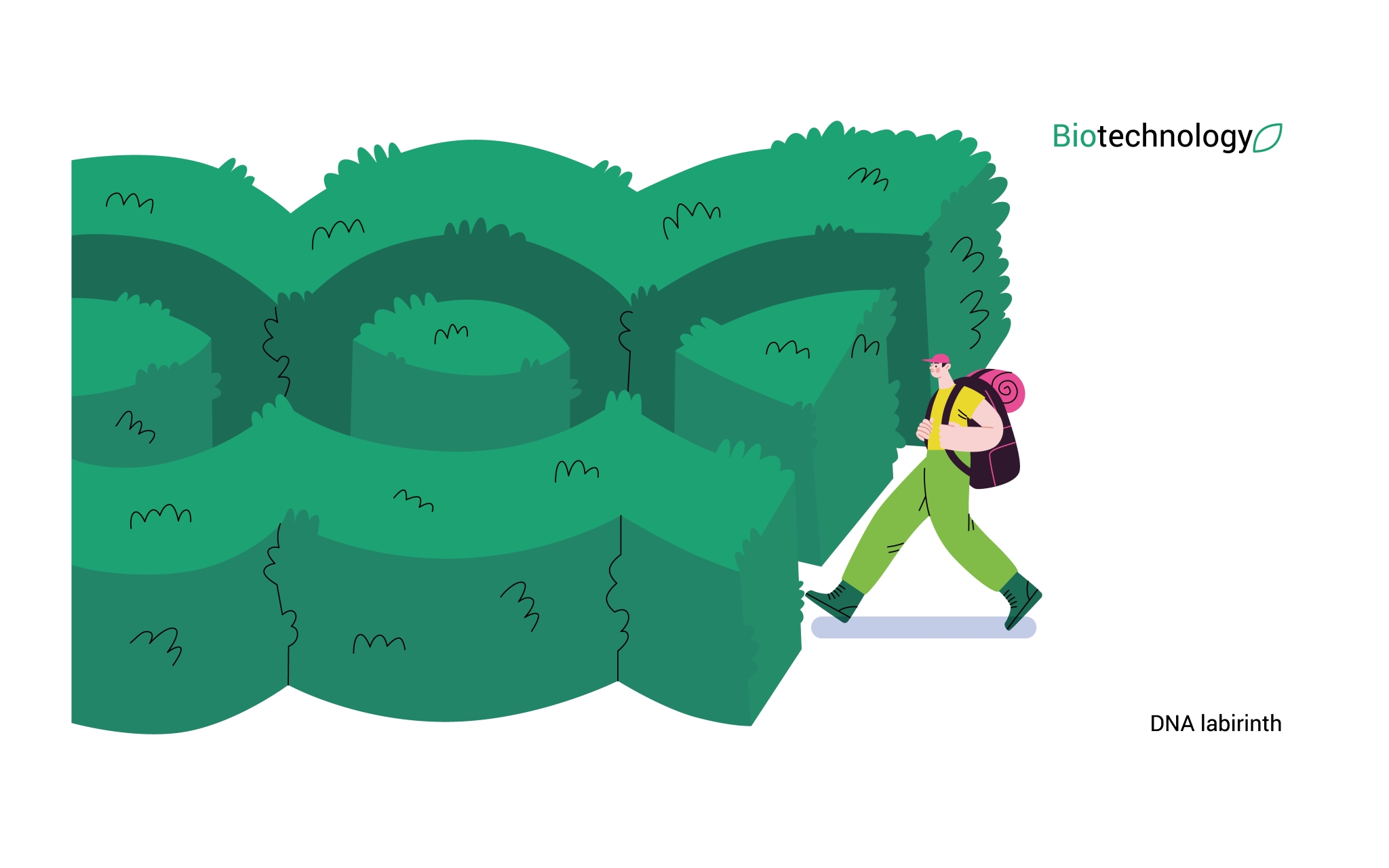 Grivina Design – Illozoo
